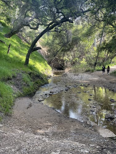 Best Hikes and Trails in Walnut Creek Community Regional Park | AllTrails