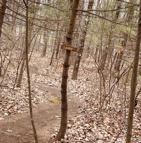 Best Hikes and Trails in Colton Road Conservation Area (Rayburn Trails ...