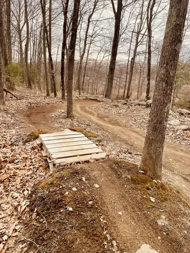 Best Hikes and Trails in Colton Road Conservation Area (Rayburn Trails ...