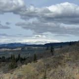 Weldon Wagon Road Trail, Washington - 437 Reviews, Map | AllTrails