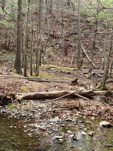 Best Hikes and Trails in Free Union | AllTrails