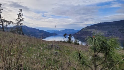 Best Hikes and Trails in Mosier Plateau Preserve | AllTrails