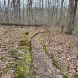 Patton Cave via Hayes and Patton Cave Trail, Indiana - 290 Reviews, Map ...