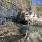 Cave Spring Loop Trail, Missouri - 341 Reviews, Map | AllTrails
