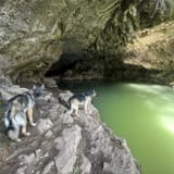 Cave Spring Loop Trail, Missouri - 341 Reviews, Map | AllTrails