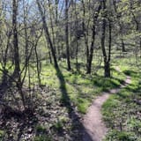 Cave Spring Loop Trail, Missouri - 341 Reviews, Map | AllTrails