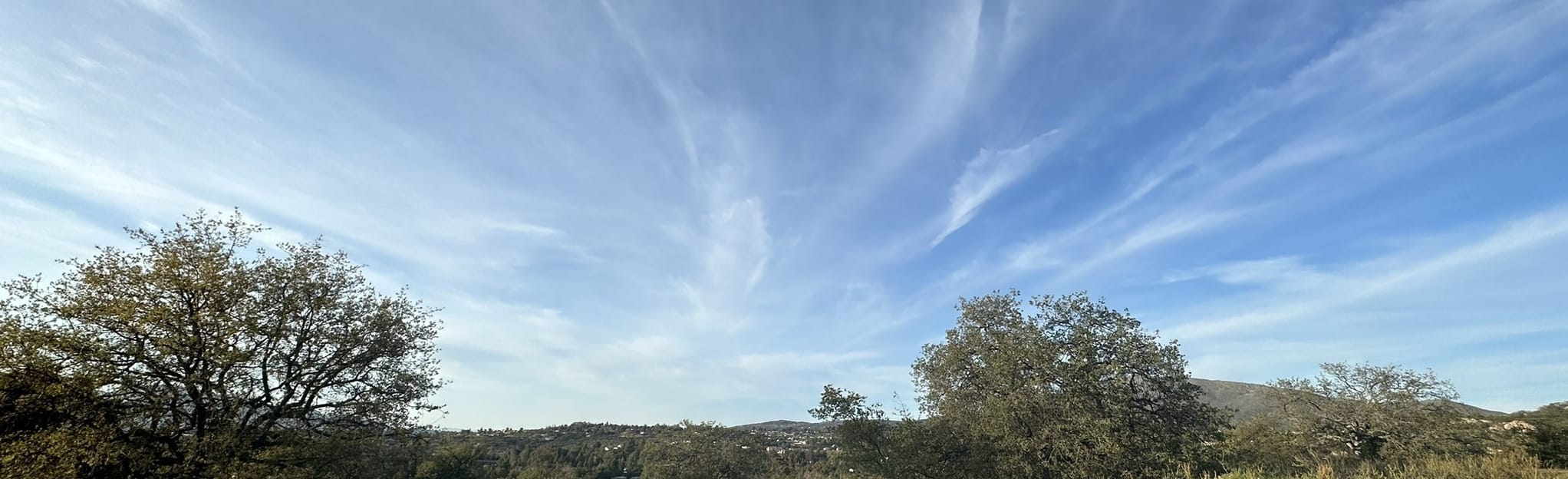 Wright's Field: 389 Reviews, Map - California | AllTrails