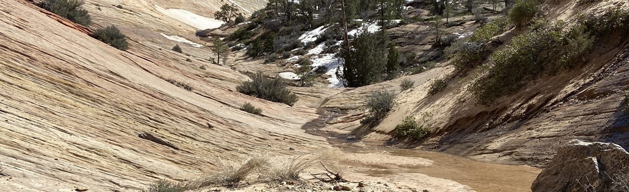 Goat Trail, Utah - 33 Reviews, Map | AllTrails