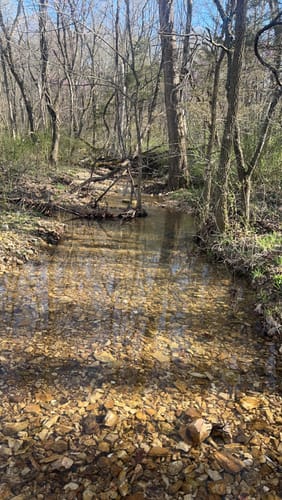 Best Hikes and Trails in Compton Hollow Conservation Area | AllTrails