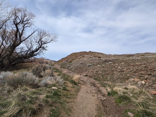 Best Hikes and Trails in Ballardini Open Space | AllTrails