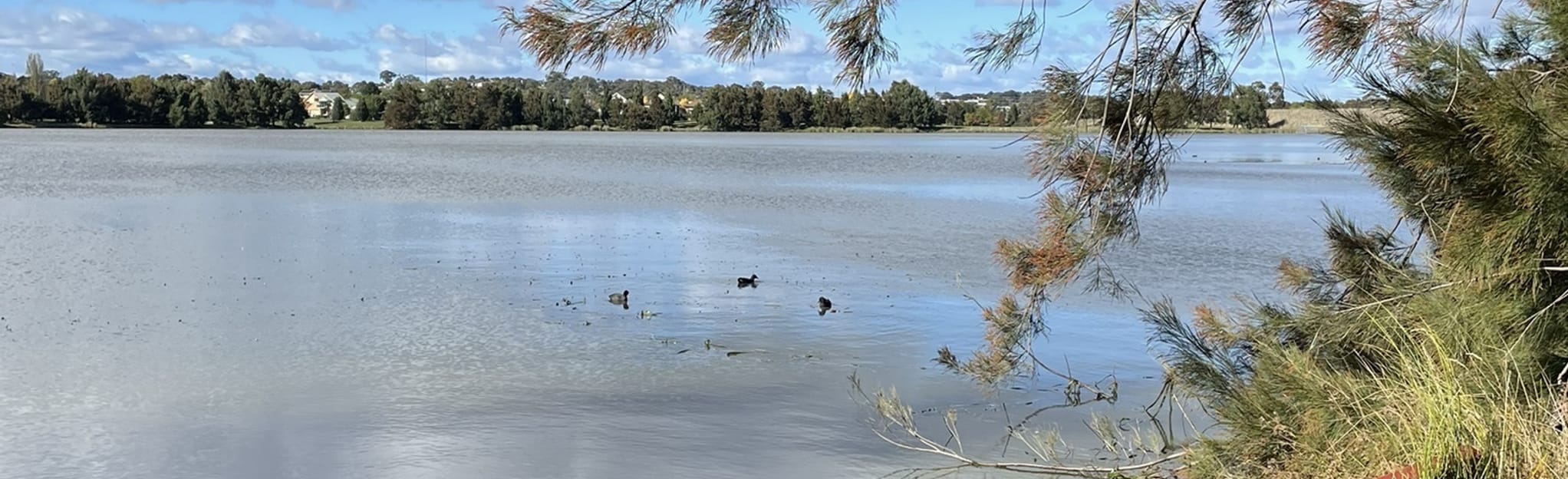 Gungahlin Pond Loop: 54 Reviews, Map - Australian Capital Territory ...