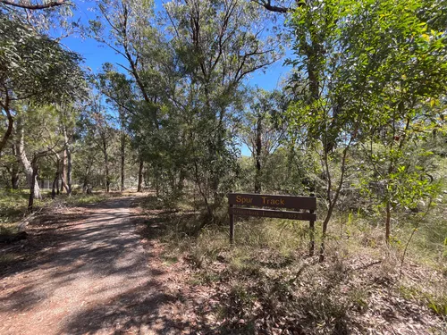 Best Hikes and Trails in Springwood Conservation Park | AllTrails