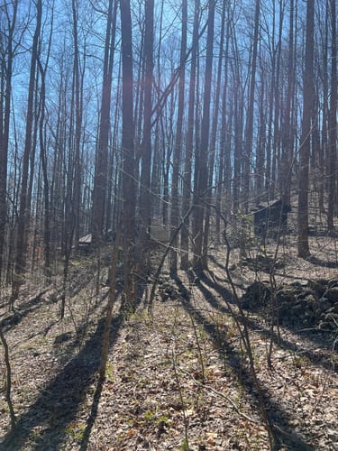 2023 Best trails in Rapidan Wildlife Management Area | AllTrails