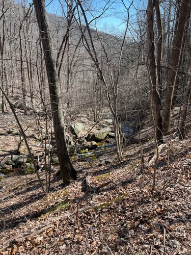 2023 Best trails in Rapidan Wildlife Management Area | AllTrails