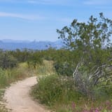 Pemberton Trail Loop, Arizona - 658 Reviews, Map | AllTrails