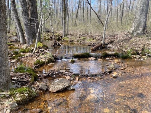 Best Hikes and Trails in University Forest Conservation Area | AllTrails