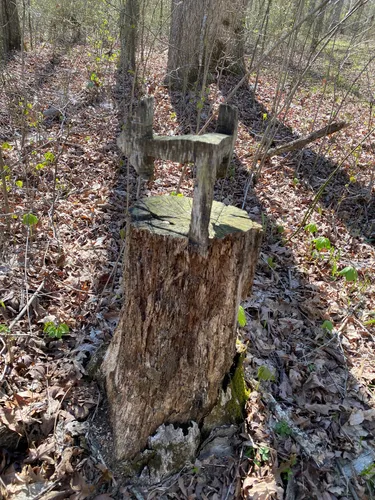 Best Hikes and Trails in University Forest Conservation Area | AllTrails