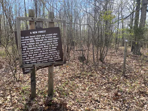 Best Hikes and Trails in University Forest Conservation Area | AllTrails