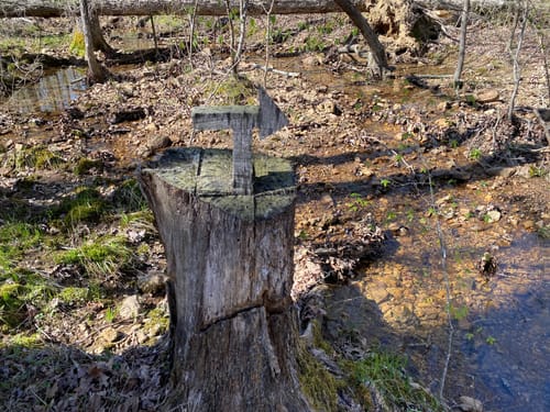 Best Hikes and Trails in University Forest Conservation Area | AllTrails