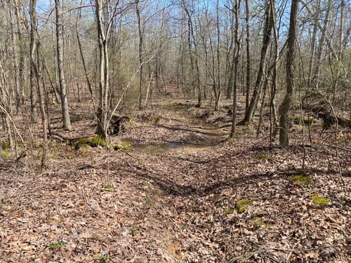 Best Hikes and Trails in University Forest Conservation Area | AllTrails