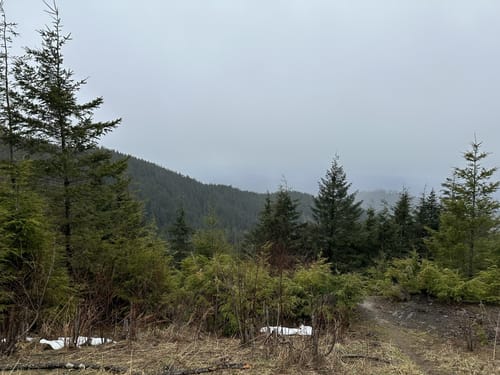 2023 Best River Trails in Tiger Mountain State Forest | AllTrails