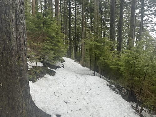 2023 Best River Trails in Tiger Mountain State Forest | AllTrails