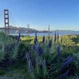 Fort Point - Baker Beach Coast Trail, California - 669 Reviews, Map ...
