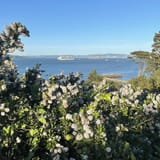Fort Point - Baker Beach Coast Trail, California - 659 Reviews, Map ...