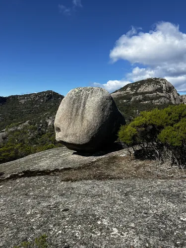 Best Hikes and Trails in Cameron Regional Reserve | AllTrails