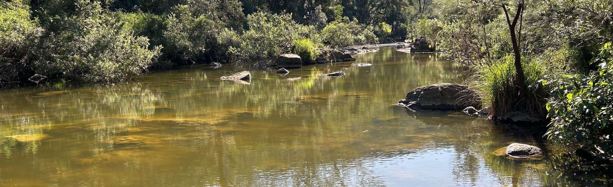 Yabba Falls Hike: 13 foto's - Queensland, Australië | AllTrails