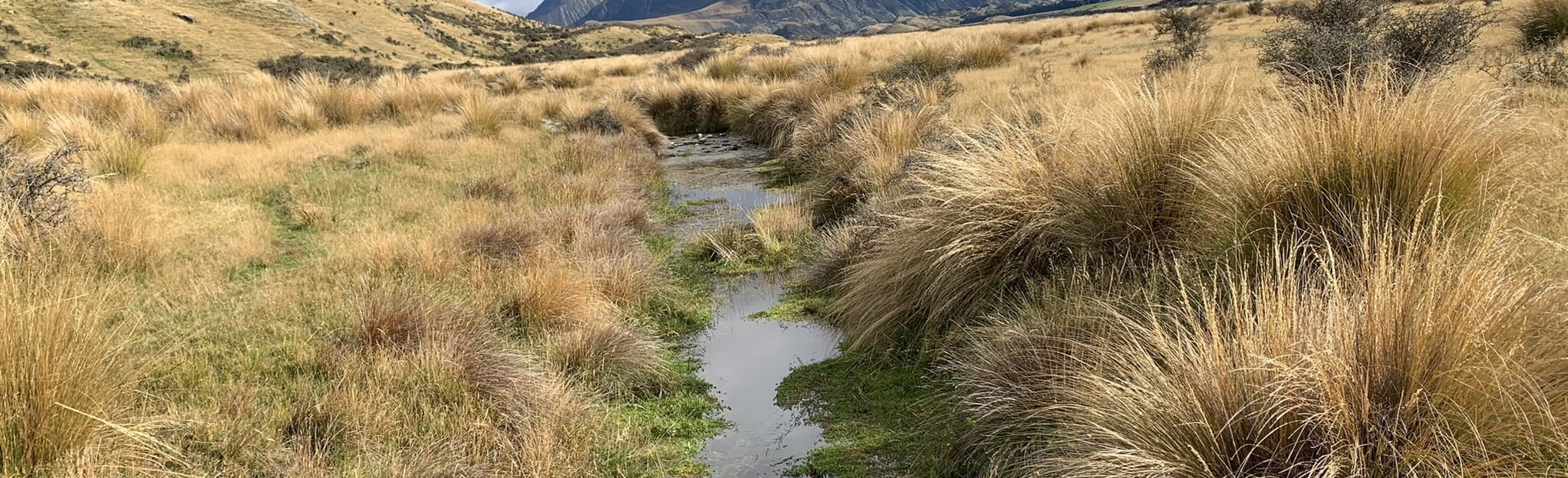 Mount Sunday Track, Canterbury, New Zealand - 139 Reviews, Map | AllTrails