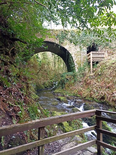 Best Hikes and Trails in Dun na Rí Forest Park | AllTrails