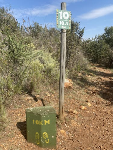 Best Hikes and Trails in Groenkloof Nature Reserve | AllTrails