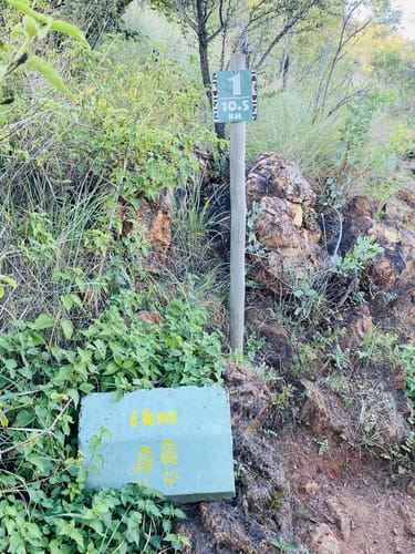 Best Hikes and Trails in Groenkloof Nature Reserve | AllTrails