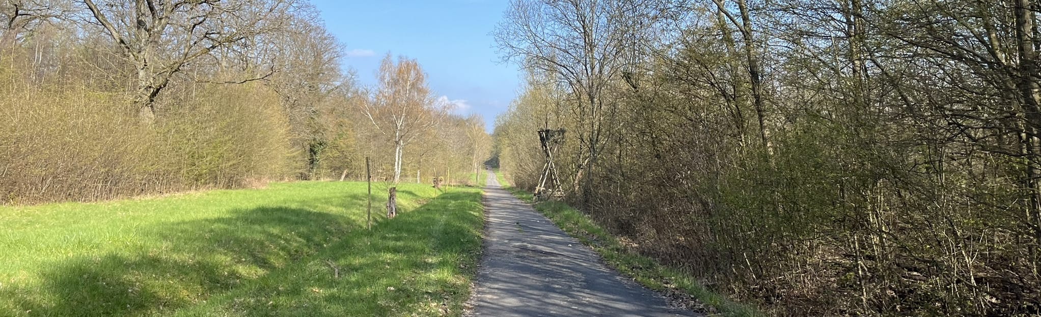 Through the Ober-Olm forest: 9 Reviews, Map - Rhineland-Palatine ...