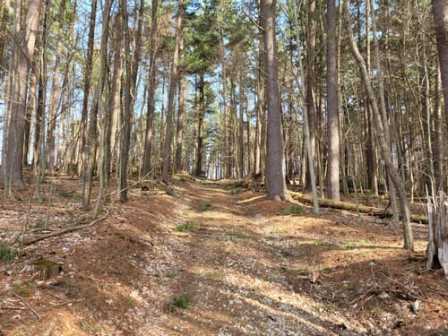 Best Hikes and Trails in Mohican Memorial State Forest | AllTrails