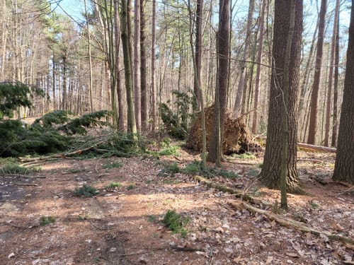 Best Hikes and Trails in Mohican Memorial State Forest | AllTrails