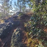 Leatherman Cave and Crane's Lookout Trail, Connecticut - 844 Reviews ...