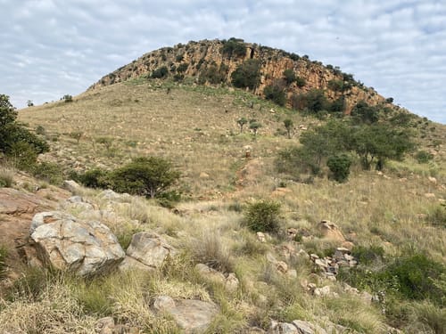 2023 Best 10 Forest Trails in Madibeng NU | AllTrails