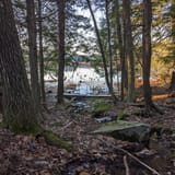 Knight's Pond Preserve , Maine - 237 Reviews, Map | AllTrails