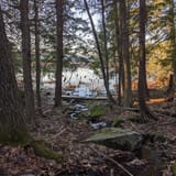 Knight's Pond Preserve , Maine - 237 Reviews, Map | AllTrails