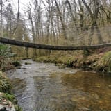 Lydford Gorge Walk, White Lady Waterfall, and Lydford Castle Circular ...