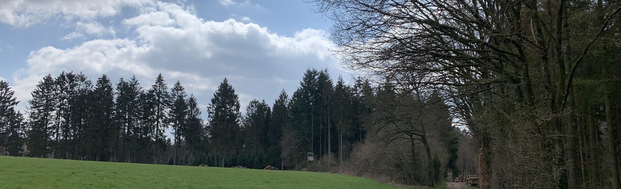In the forest on the Mamer: 4 Reviews, Map - Mersch, Luxembourg | AllTrails
