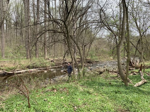 Best Hikes and Trails in Leakin Park | AllTrails