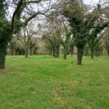 Daffodil Way: Dymock and Kempley Circular, Gloucestershire, England ...