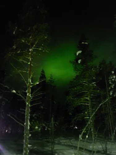 Best Historic Site Trails in Urho Kekkonen National Park | AllTrails