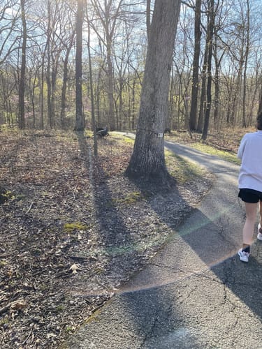 Best Hikes and Trails in Powder Valley Conservation Nature Center ...