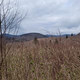 Sam's Knob and Little Sam Loop , North Carolina - 477 Reviews, Map ...
