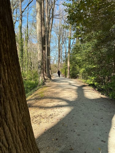 Best Hikes and Trails in Brecknock County Park | AllTrails