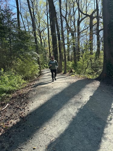 Best Hikes and Trails in Brecknock County Park | AllTrails